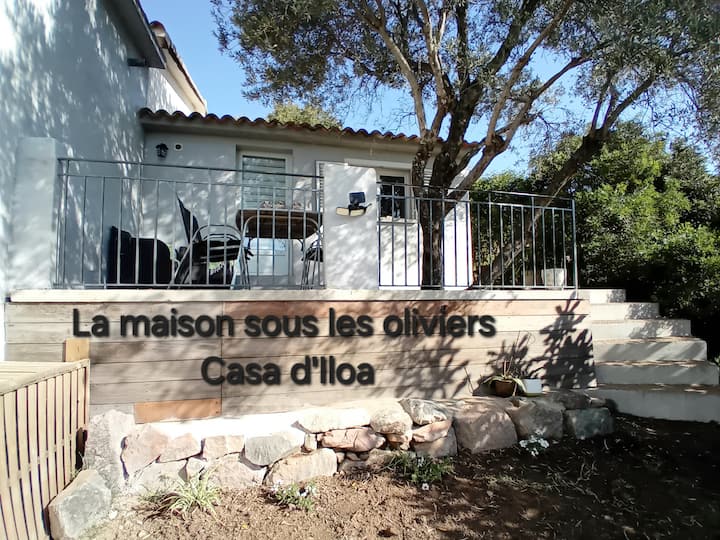 Maison Sous Les Oliviers / Casa D'iloa - Porto-Vecchio