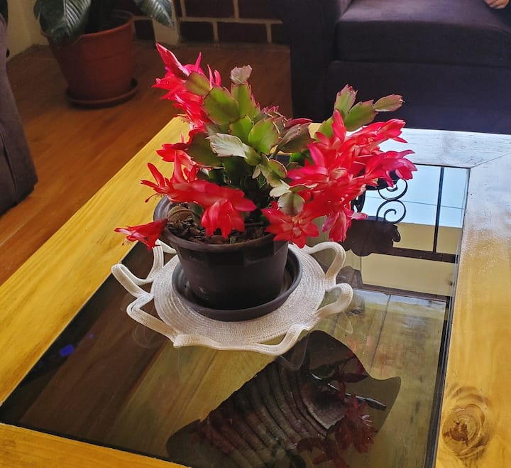 Casa Hospedaje - Pasco