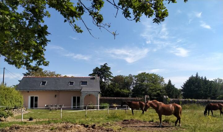 Manoir De L'aisnerie : Le Pavillon - Saint-Herblain