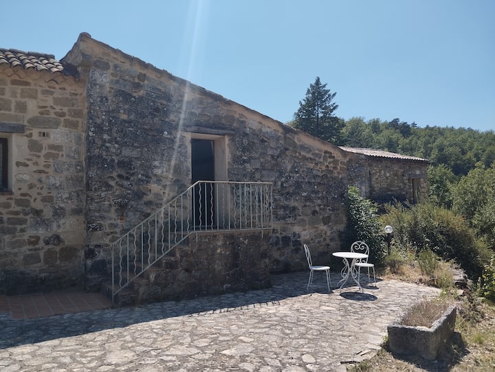 Le Serpolet - Banon