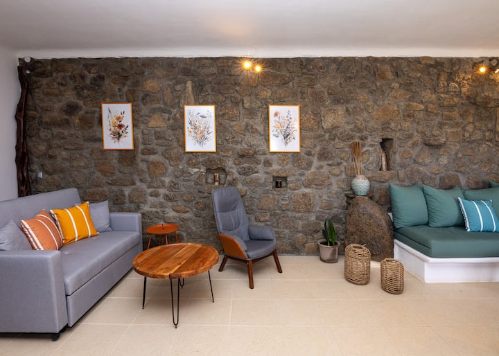 Meteorites Agritourism Home In Tinos - Grèce