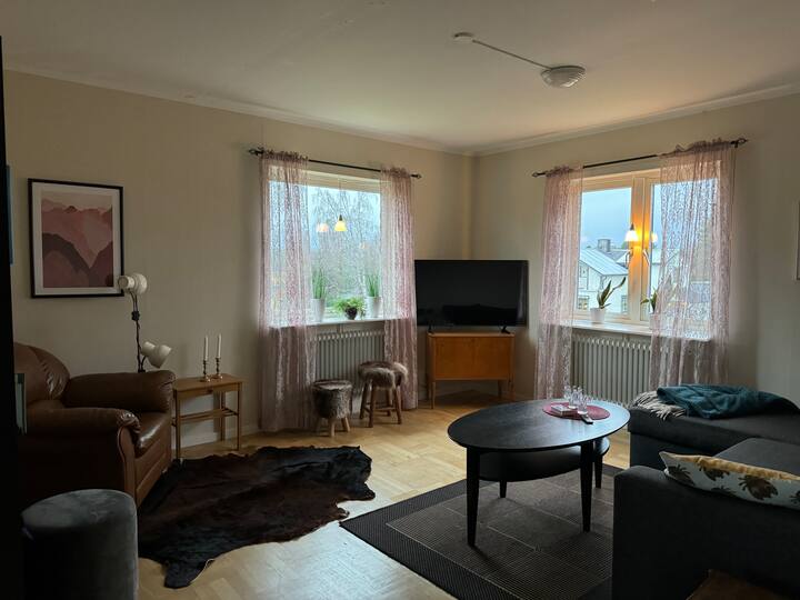 Comfortable, Centric Apartment - Sorsele
