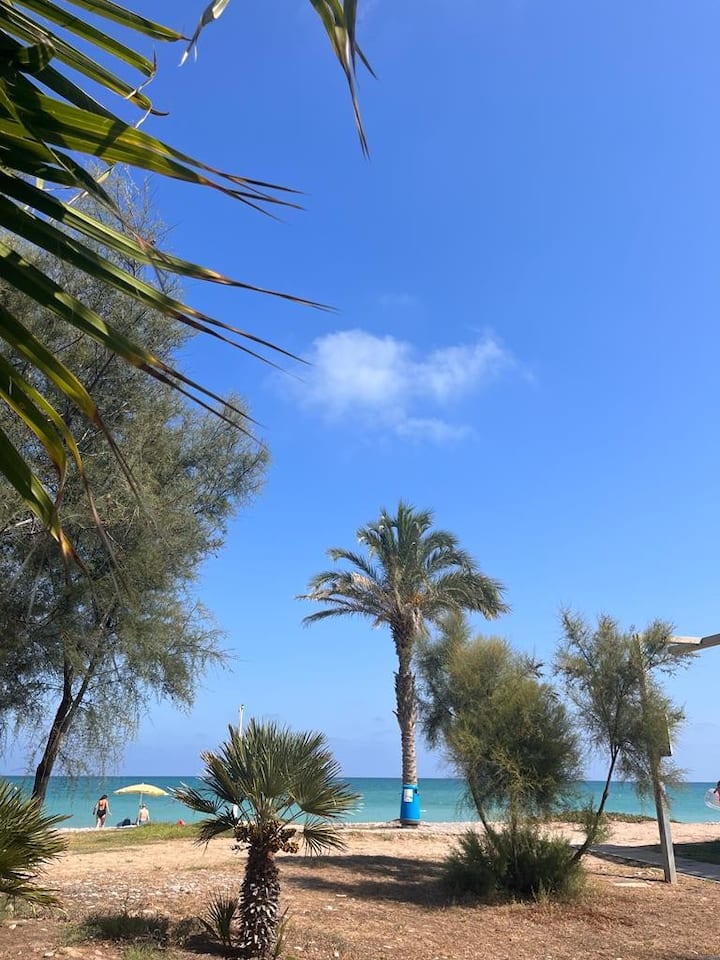 Appartement Bord De Mer Espagne - Moncofa
