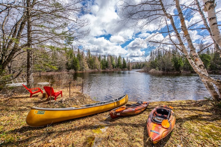 Lakeside Bliss In Prime Muskoka! - Algonquin Provincial Park