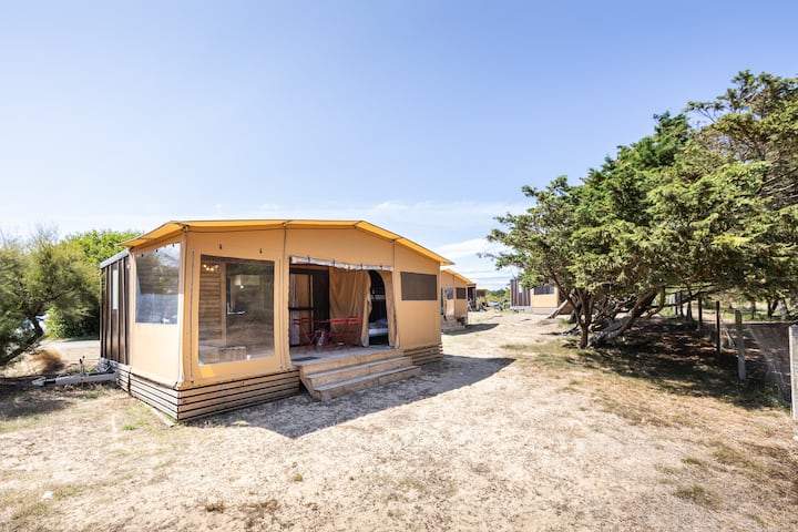 Arizona | Huttopia Ars En Ré - Île de Ré