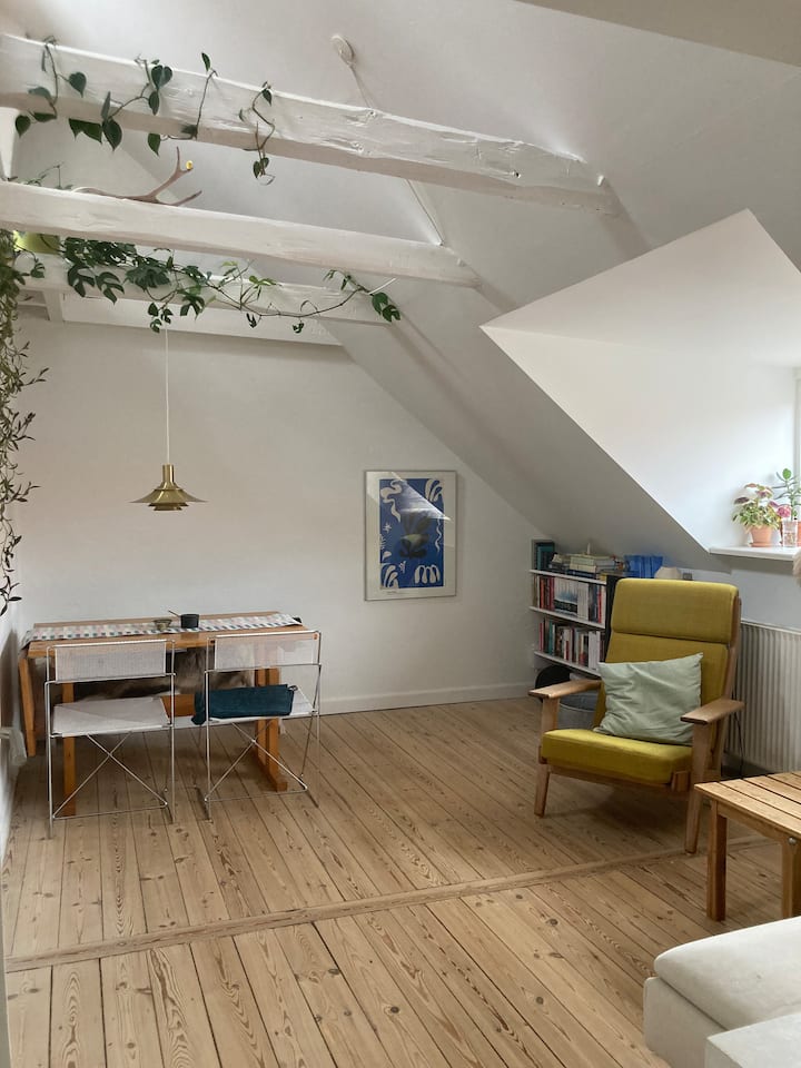 Hyggelig Taglejlighed I Aarhus C - Aarhus