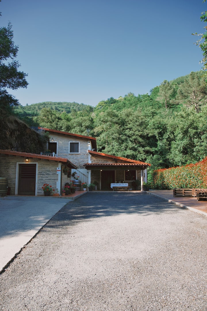Casa Souchavín En Ribeira Sacra - Monforte de Lemos