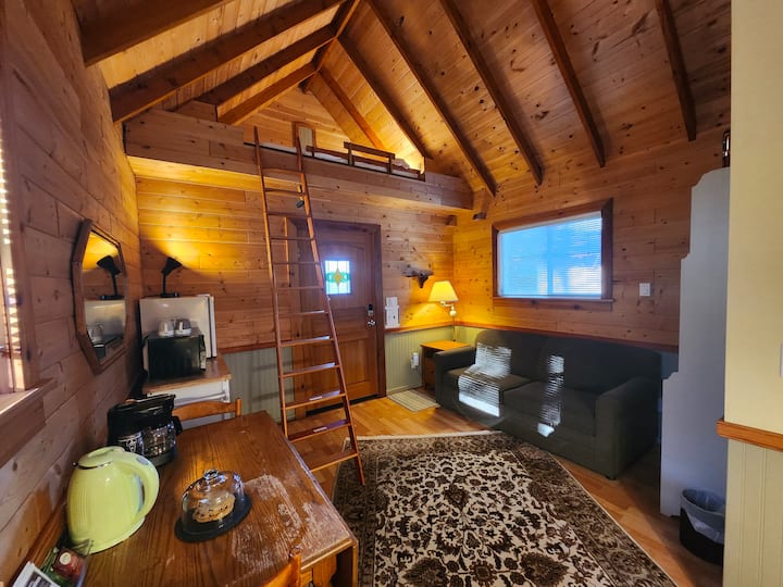 Backyard Cabin With Loft Bed And Outdoor Shower - Vancouver Island