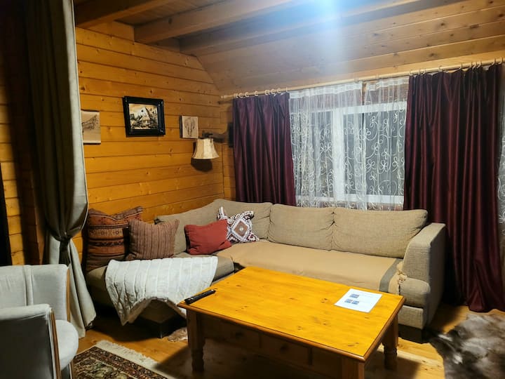 Mountain Cottage By The River - Cârțișoara