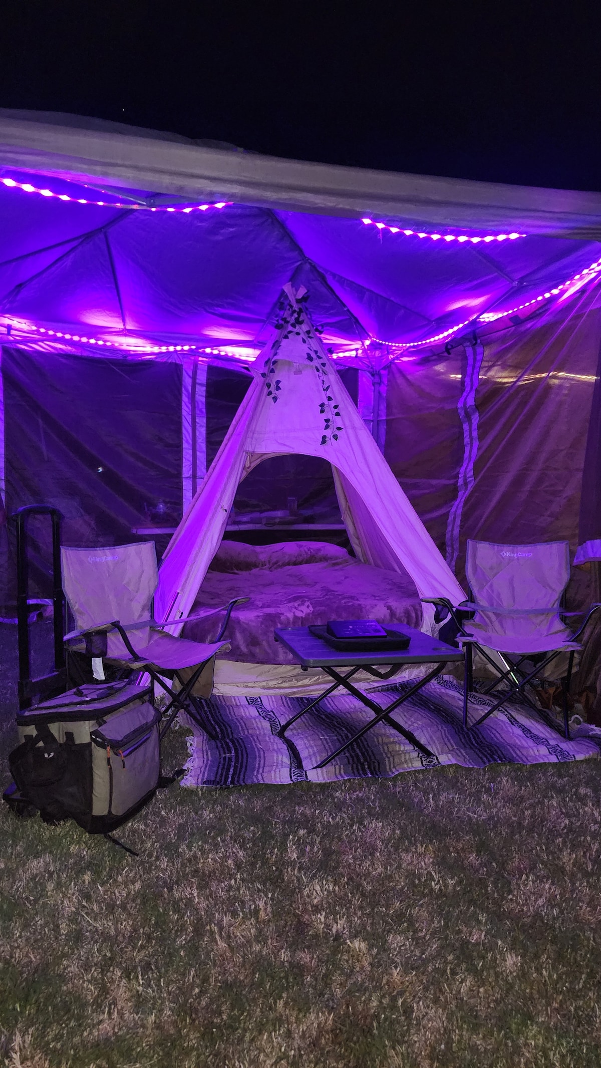Griztronics Gorge + 1 Free Night Included! - Yurts for Rent in Quincy ...