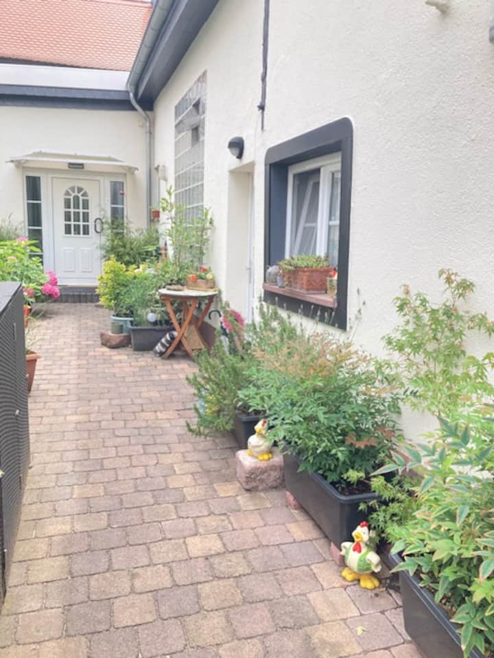 Between Frankfurt And Darmstadt - Dreieich