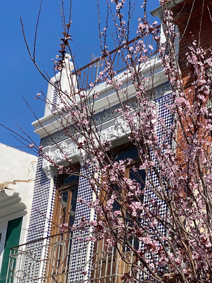 Artisan Haven: El Cabanyal Oasis - Valencia