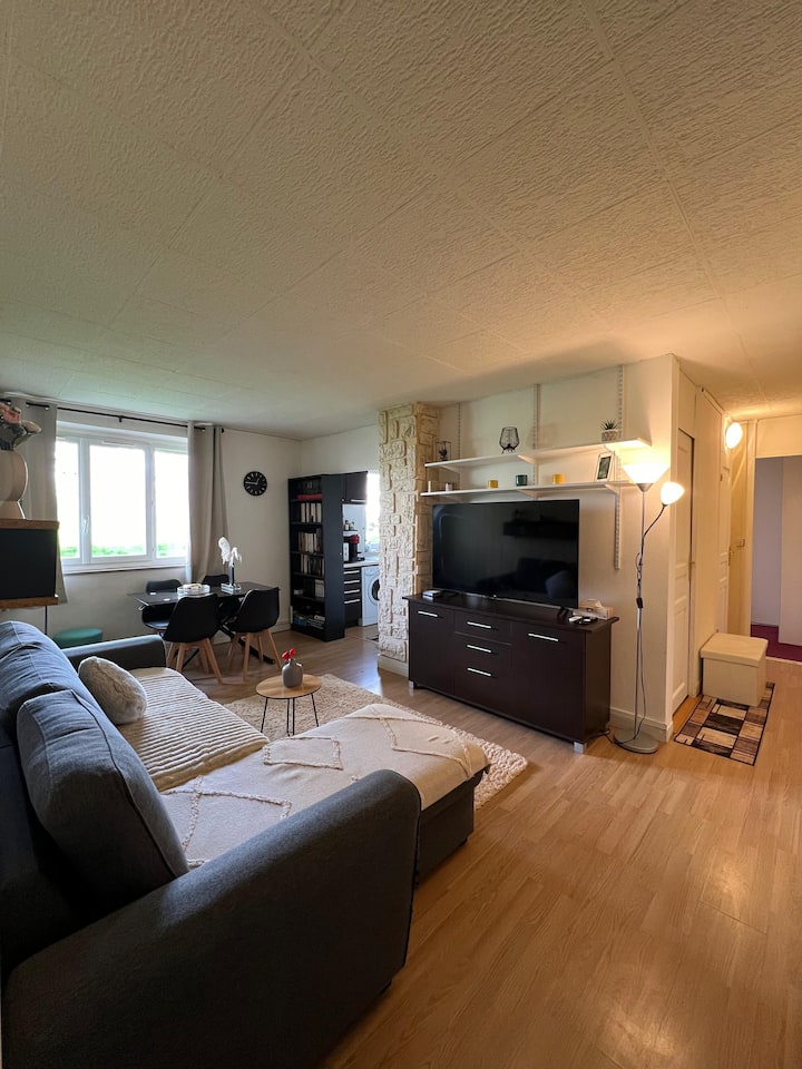 Appartement Cosy Idéalement Situé - Nanterre