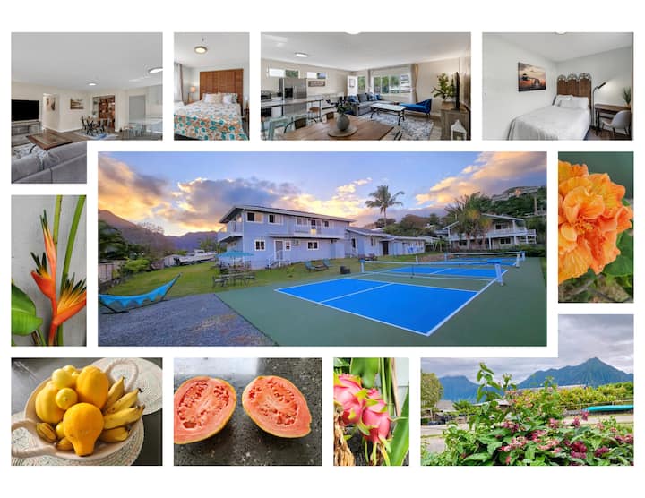 Pickleball Paradise: Quiet 2bd/1ba & Private Court - Kailua, HI