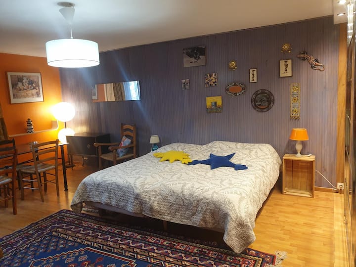 Grande Chambre, 1 Ou 2 Personnes - Andrézieux-Bouthéon