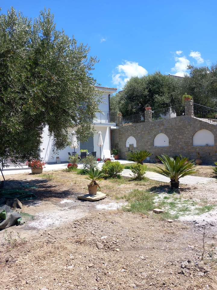 Villa Tra Uliveti E Mare - Castellabate