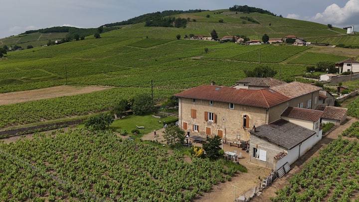 Gite À La Croisée Des Brouilly (Bain Nordique) - Belleville, France