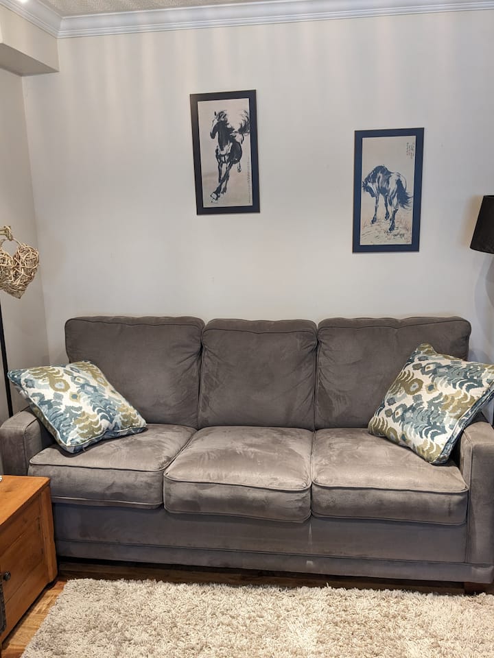 Entire 1 Bedroom Downtown Toronto Condo Peaceful - Toronto