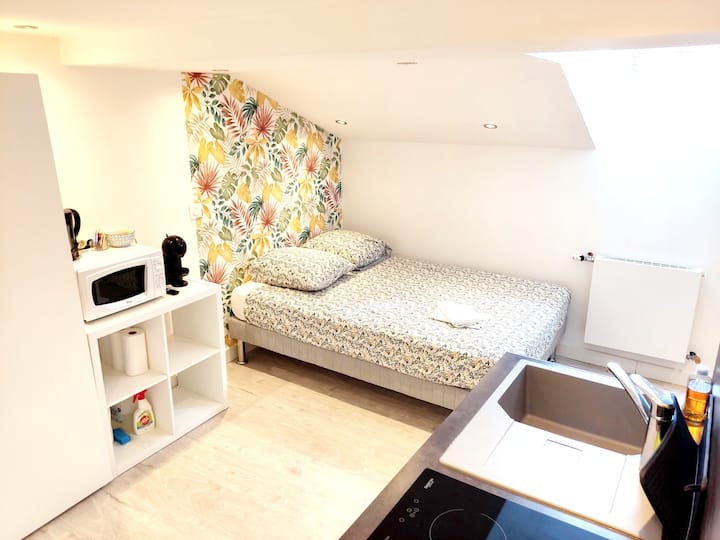 5d Le Central Hypercentre - Grenoble