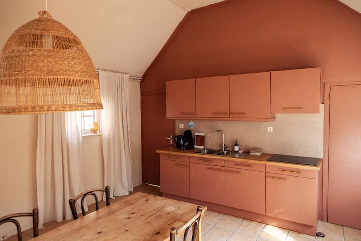 Huisje Drenthe Regendouche Netflix Bossen Natuur - Assen