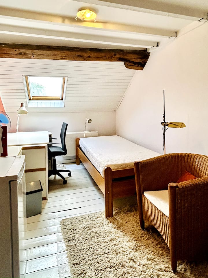 Cosy Room In Centre Of Leuven - Leuven (Louvain)