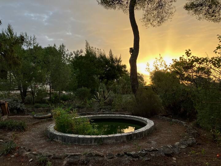 Villa Entre Mer Et Campagne - Le Muy