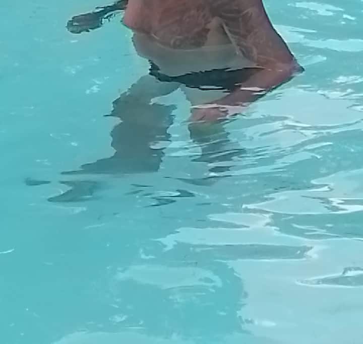 Chácara  Alegria - Holambra