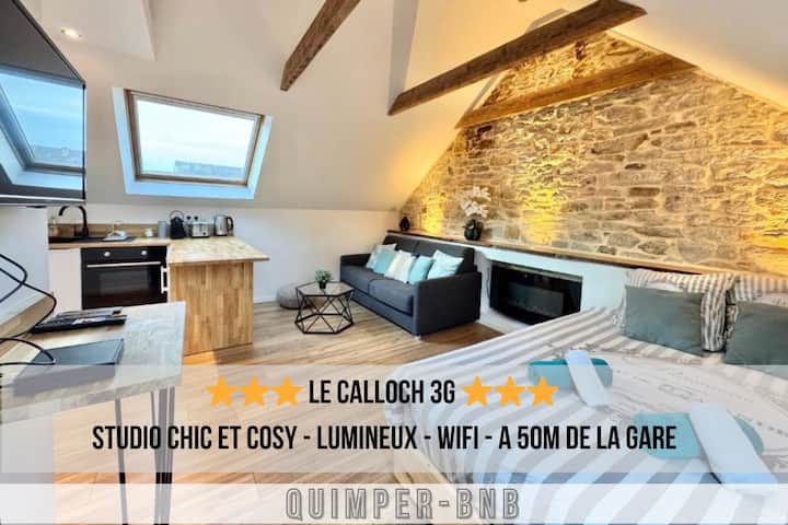 Le Calloch 3g - Superbe Studio Cosy - Proche Gare - Quimper