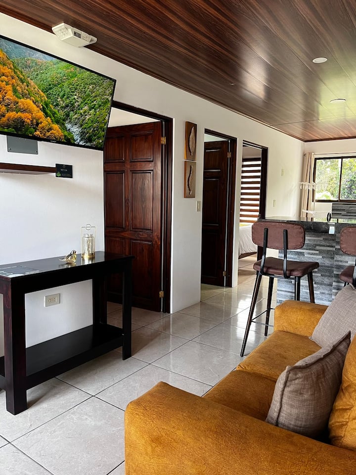 Mevak Brissa - La Fortuna