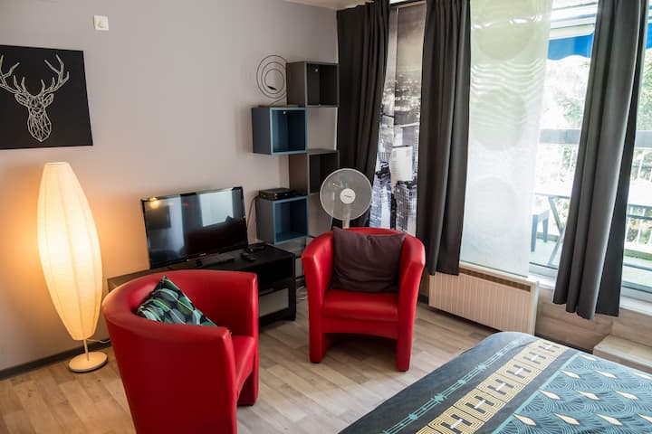 Escale Tranquille Avec Balcon & Parking Privé - Turckheim