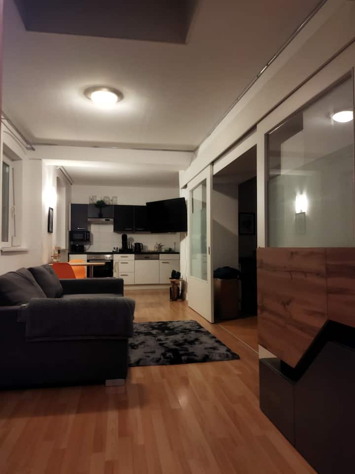 Appartement Direkt An D. Donau - Linz