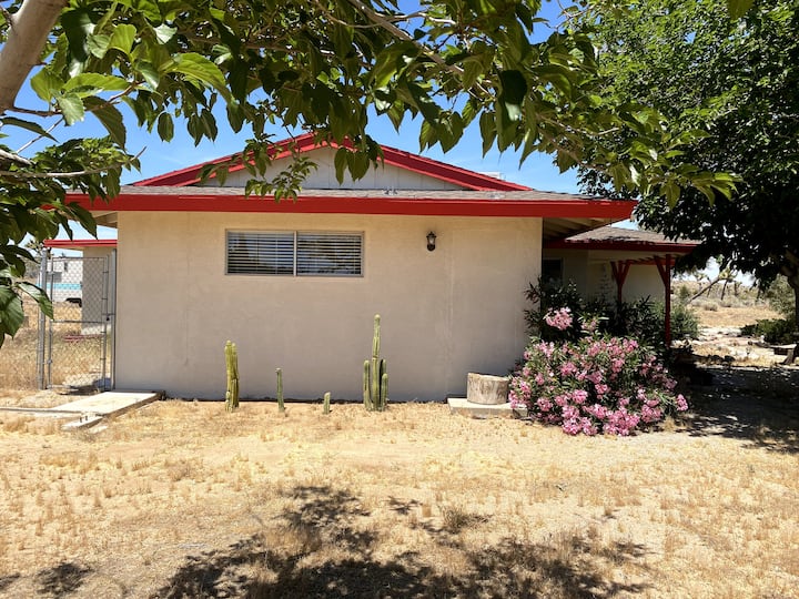 Agave Grove - Musician/artist Ranchito - Yucca Valley, CA