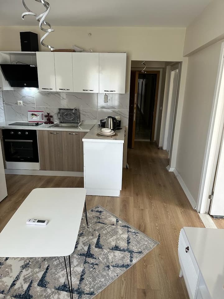Two Bedroom Fully Furnished Apartment For Rent - Esenyurt