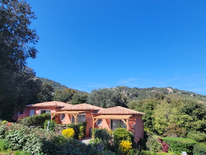 Studio 30m2 Classé 3* Sud Porto Vecchio (Pmr) - Golfe de Santa Giulia