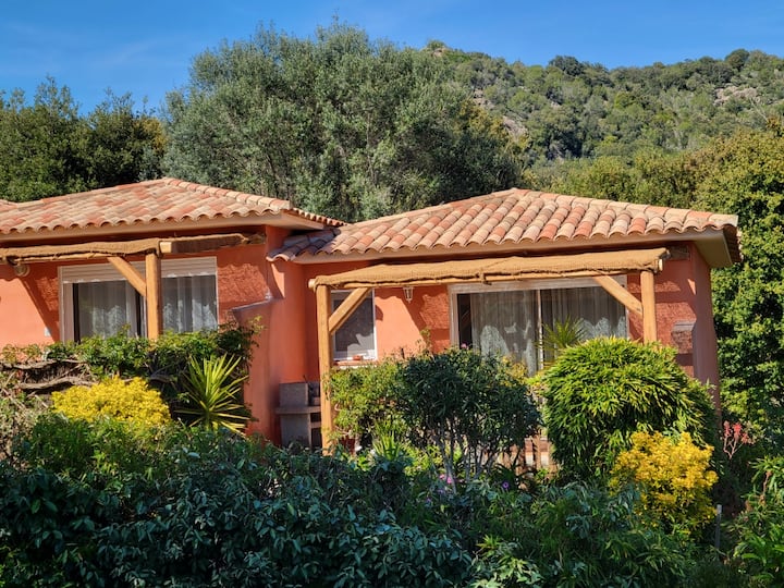 Studio 30m2 Classé 3* Porto Vecchio (Pmr) - Porto-Vecchio