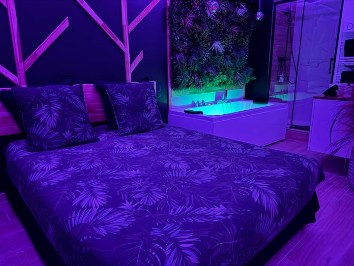 Ambiance Romantique & Jacuzzi Privé - Need’amourii - Pontault-Combault