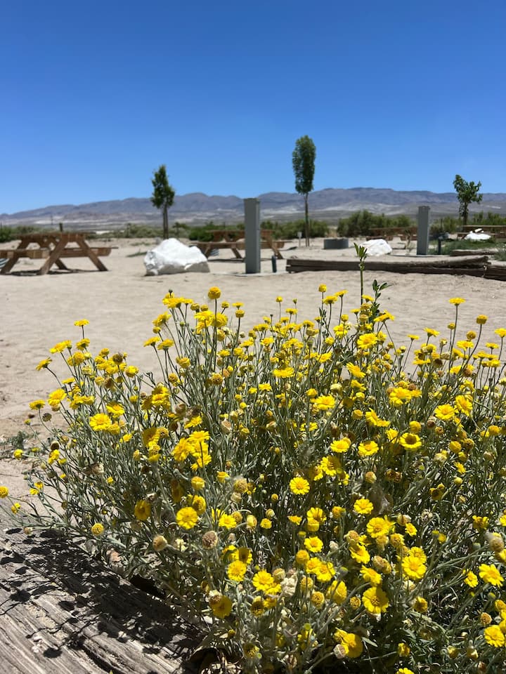 Death Valley Passageway Tent No6 - United States