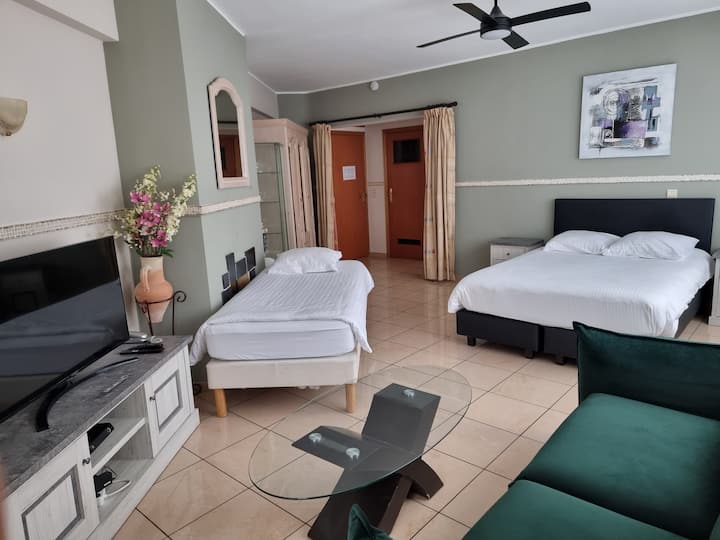 Private Violetta Apt-brussels Midi Station &Center - Brussels