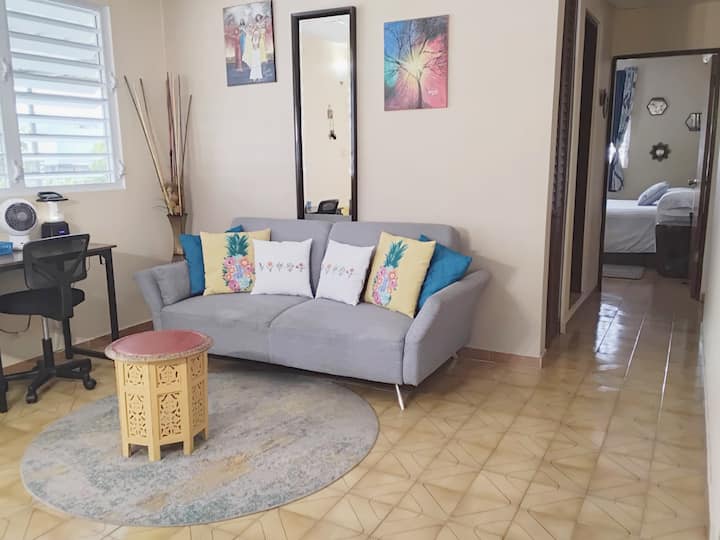 Caguas Fully Equipped 2br Unit With Solar Panels - Caguas
