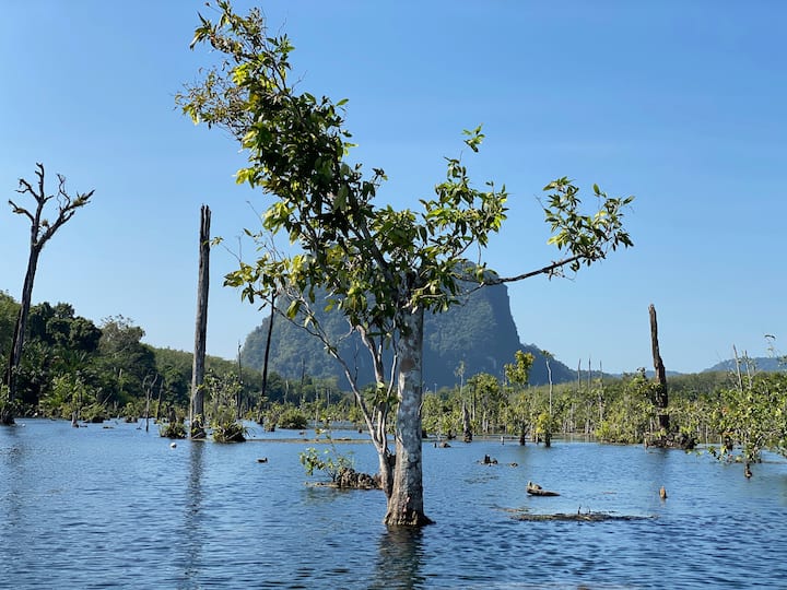 Ao Nang 1-bedroom Deluxe Apartment - Krabi