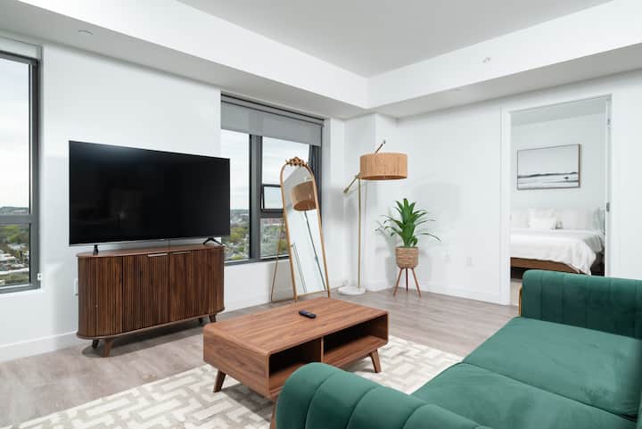 Central Square Serene Penthouse W/gym & Parking - Cambridge, MA