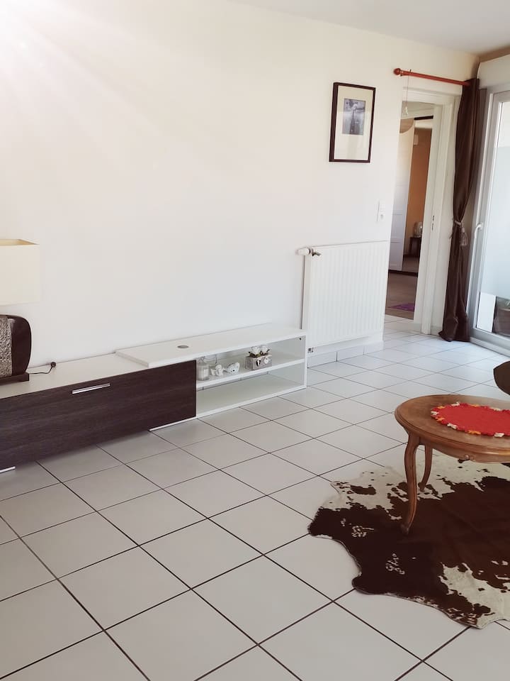 Bel Appartement Centre Ville Confortable - Thonon-les-Bains