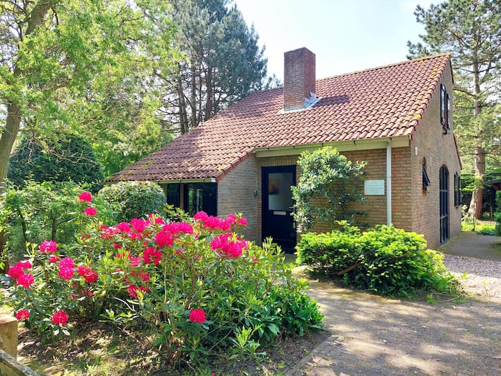 De Bosmuis - Burgh-Haamstede