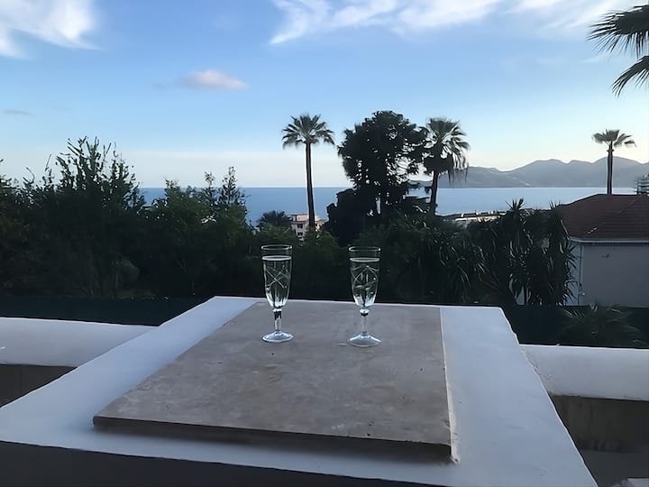 T3/41m2/paradis Vue Mer à Cannes/parking Sécurisé - Cannes
