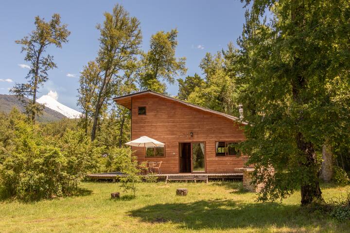 Cabaña Bosque - Pucon