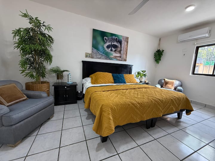 Cozumel Departamento 2 Personas - Cozumel
