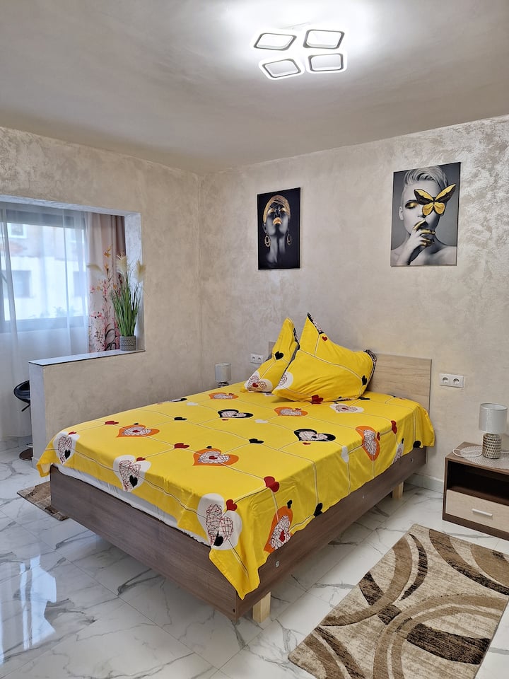Băile Herculane Apartament Elvira - Băile Herculane