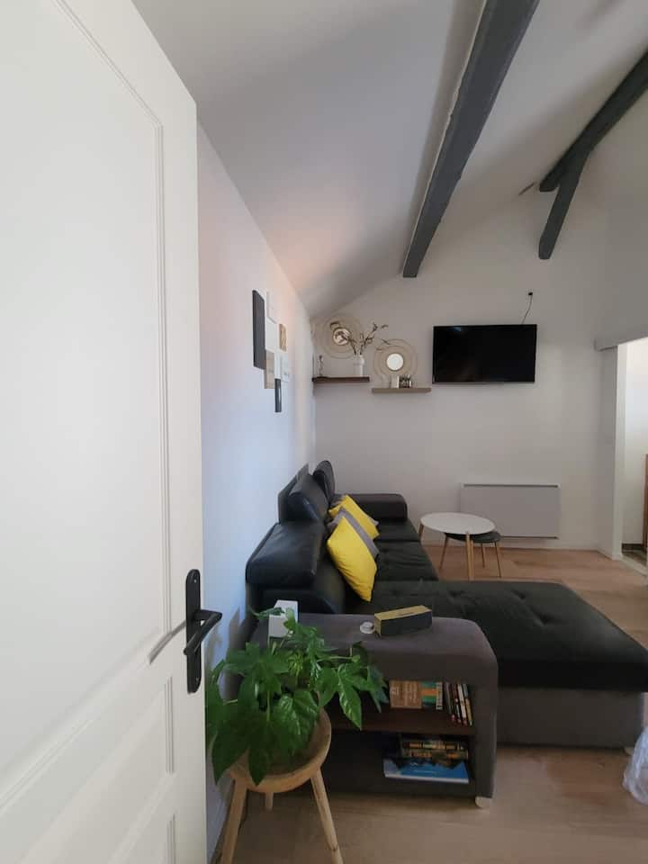 King Size Wifi Fibre Et Garage Prive Video - Saint-Germain-en-Laye