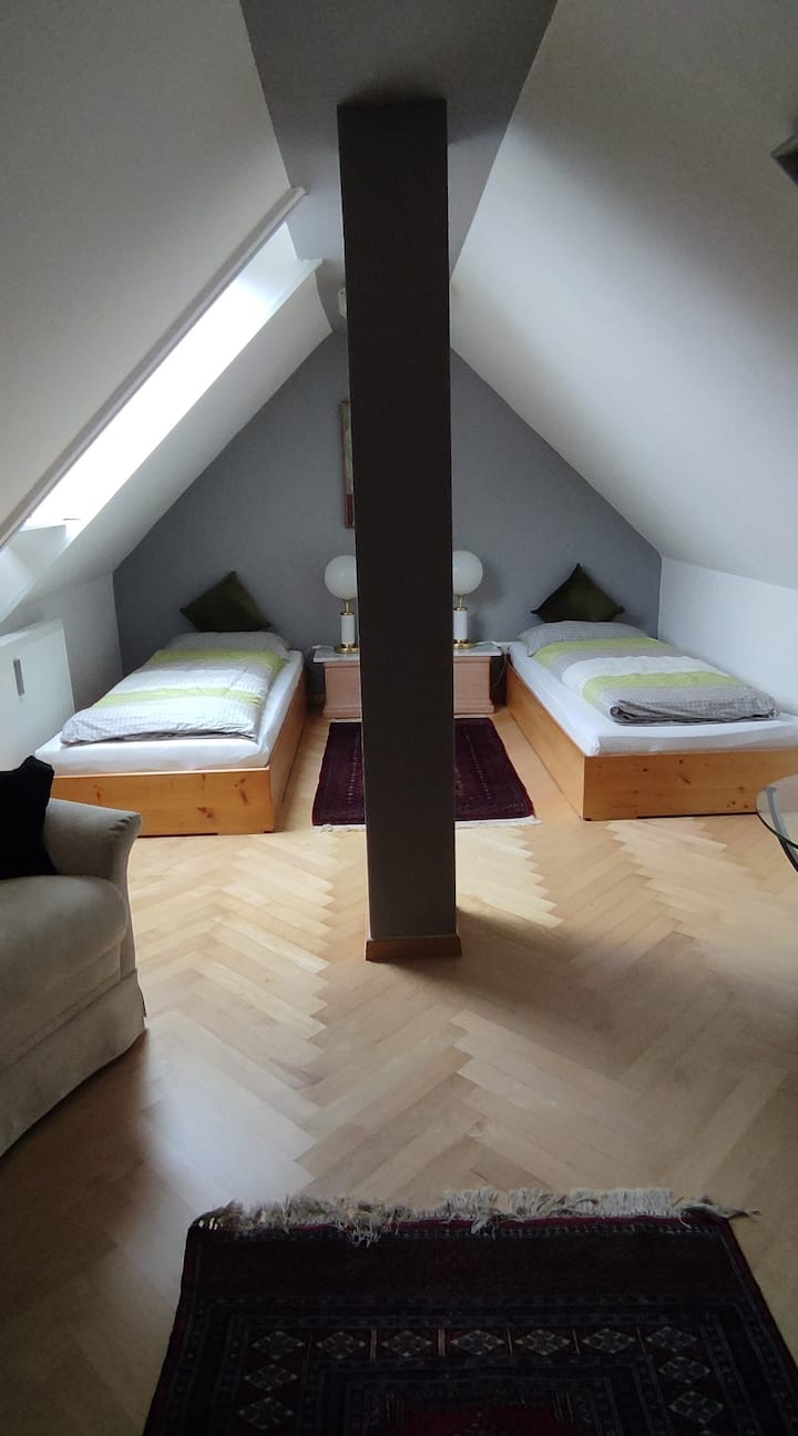 Appartement Flat Maisonette Exhibit 2/4 Poeple - Landshut