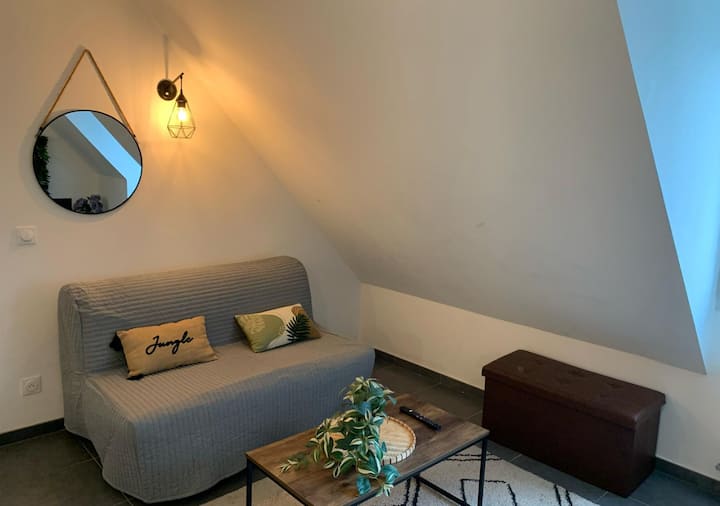 Jungle Suite - Moderne & Spacieux - Annecy